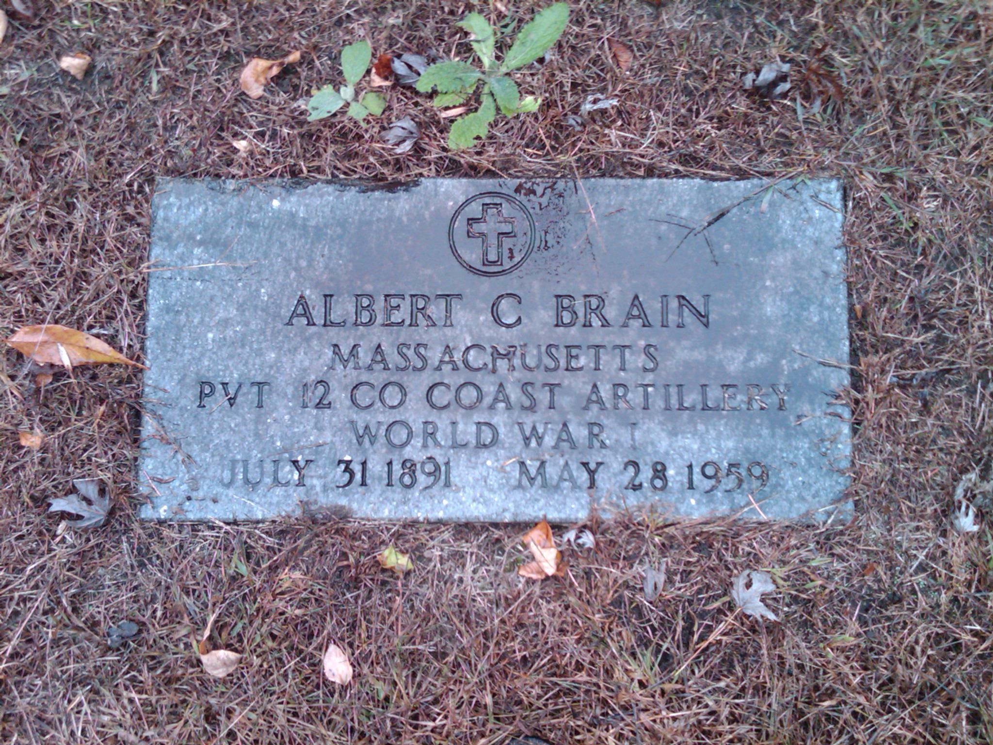 What Draft Cards Tell Us About Brain Family History. – Our Family Tree ...